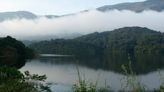 Dhoni Falls - RPK Travels